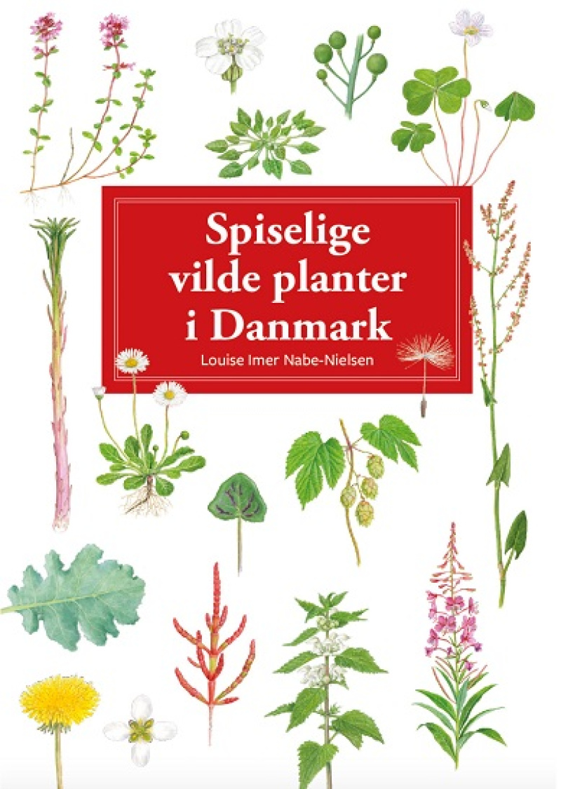 Spiselige vilde planter i Danmark - display med 10 stk by Nabe-Nielsen ...
